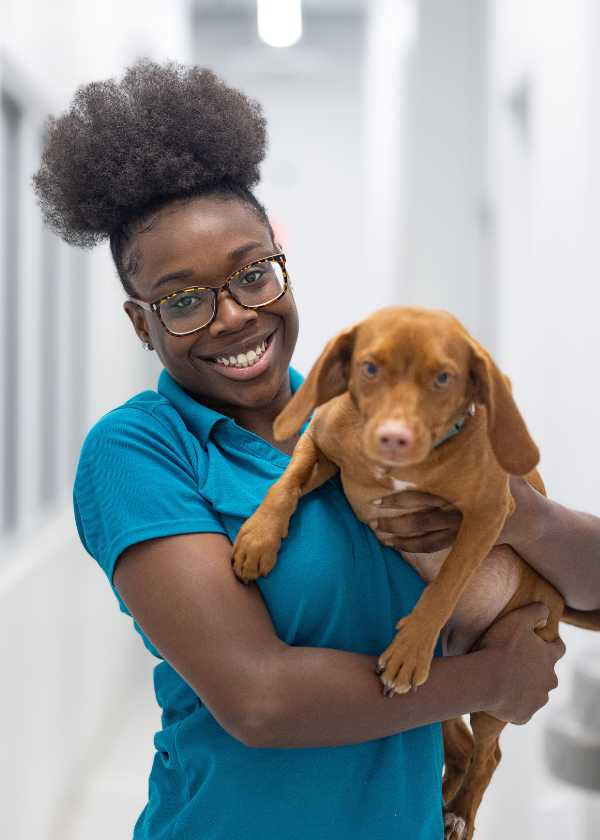 About – Colby’s Dogcare